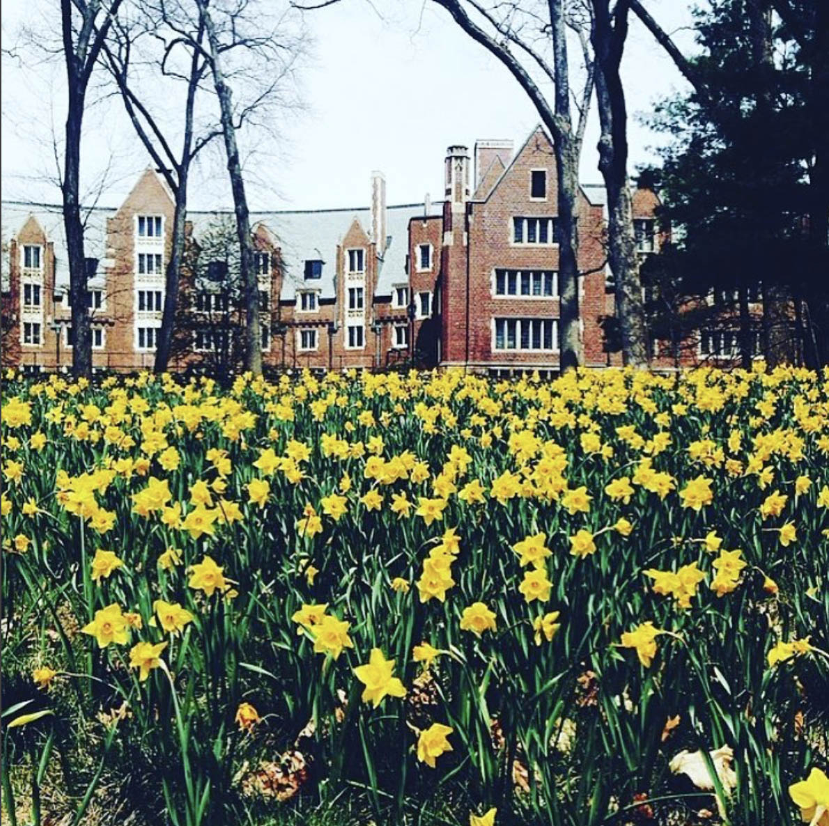 The Bureau – Susanna Salk Style